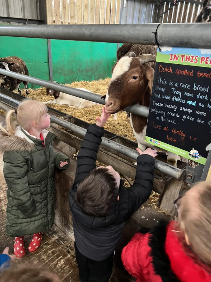 Walby Farm Park Fun – Longtown Primary School